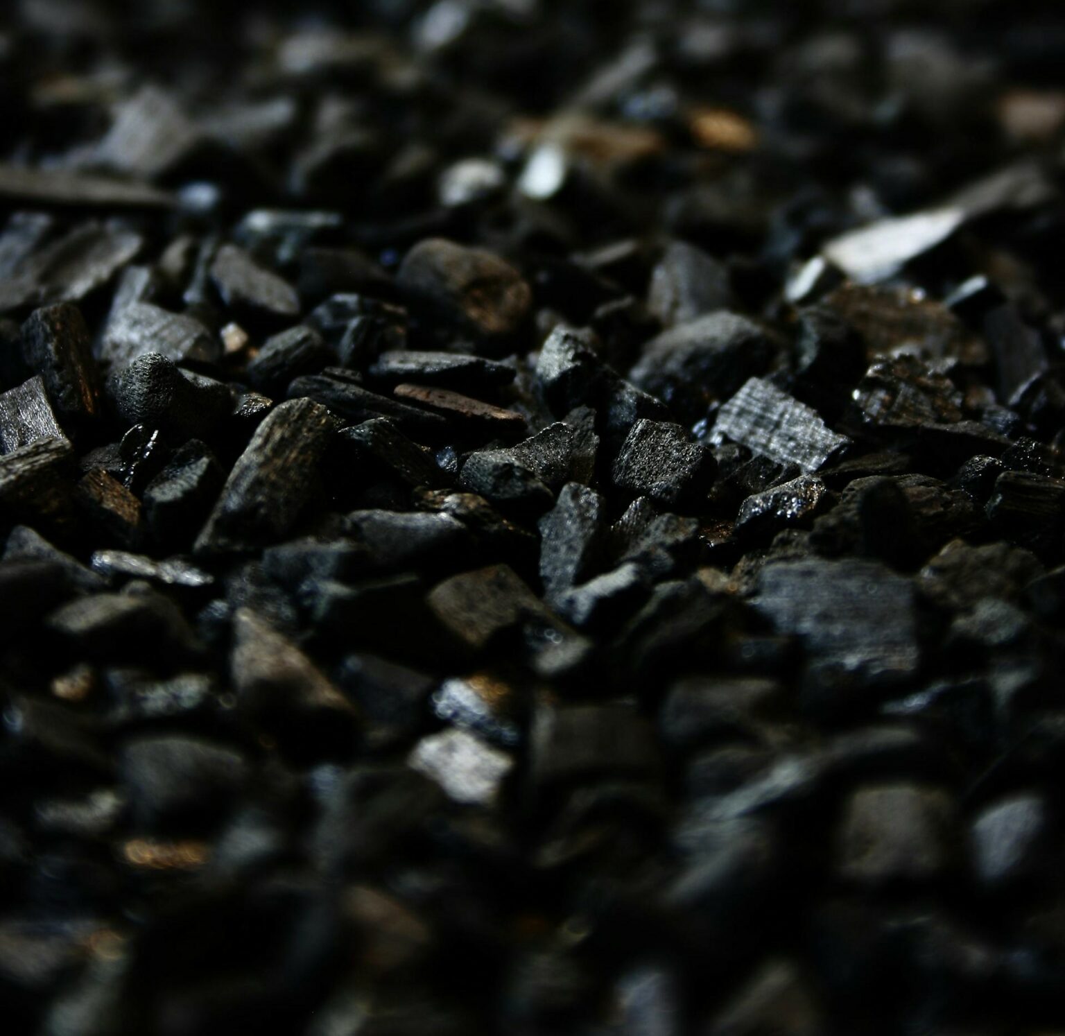 Activated Carbon Biochar: A Sustainable Solution for Environmental ...
